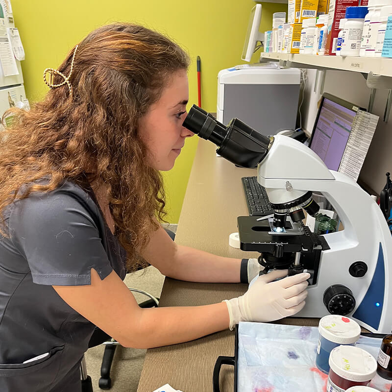 Cat & Dog Imaging in Duluth, GA | Tiger Tails Animal Hospital