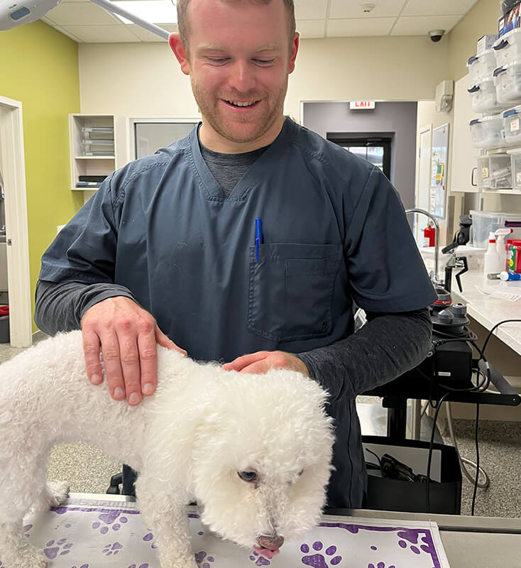 Emergency Vet in Duluth, GA | Tiger Tails Animal Hospital